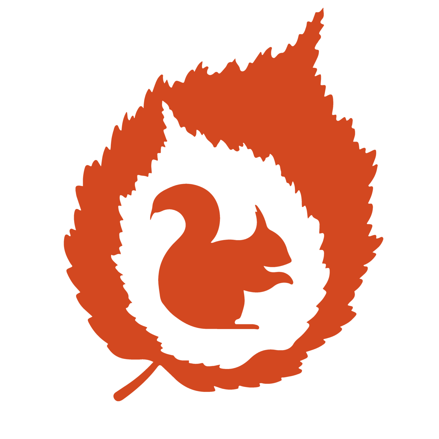 How to help red squirrels thrive - Forestry Commission - UK Squirrel Accord