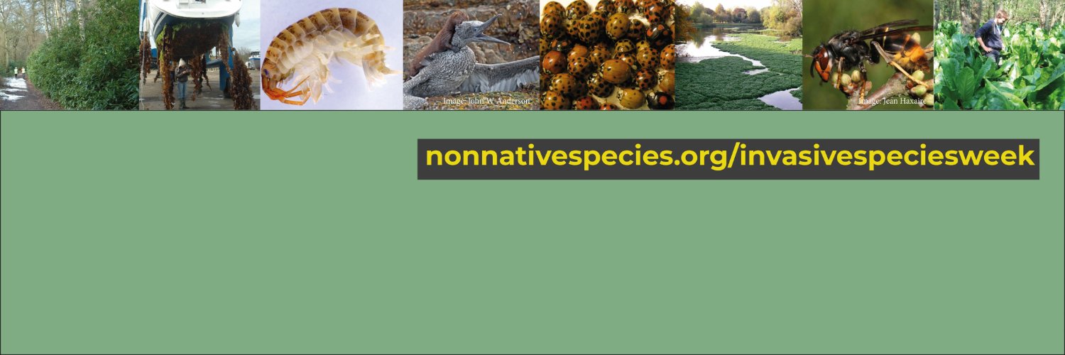 Invasive Species Week - UK Squirrel Accord