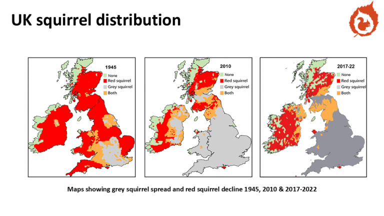 Distribution - UK Squirrel Accord